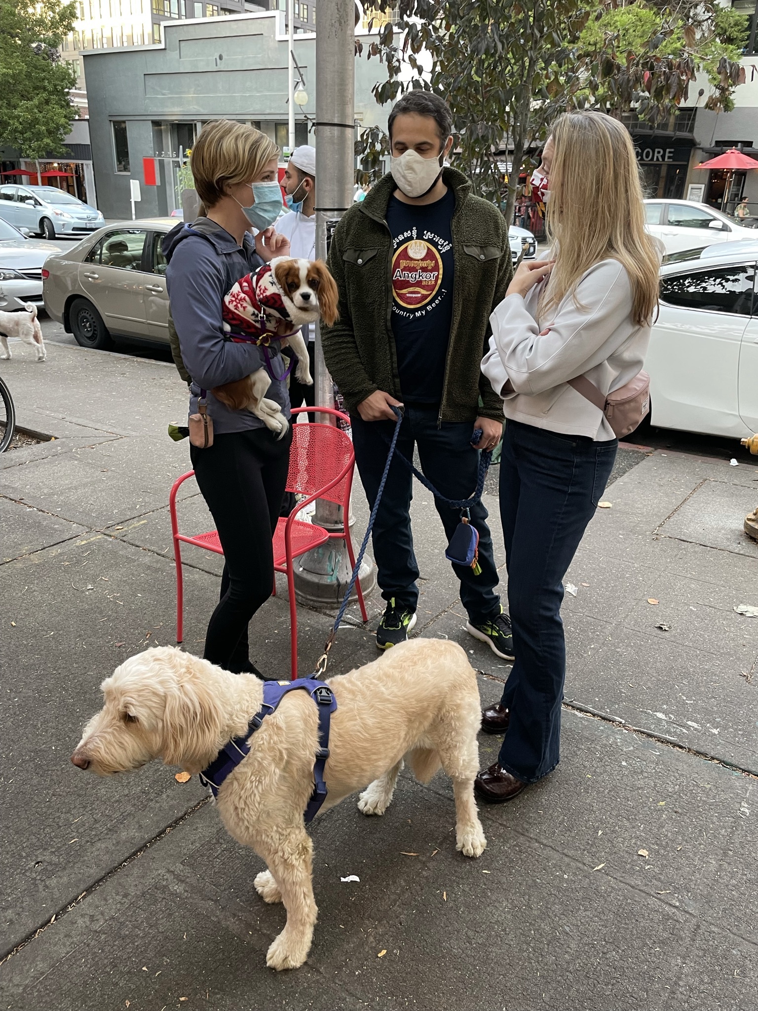 Coast-to-Coast in the Mooney M20J - Portland, OR to Seattle, WA